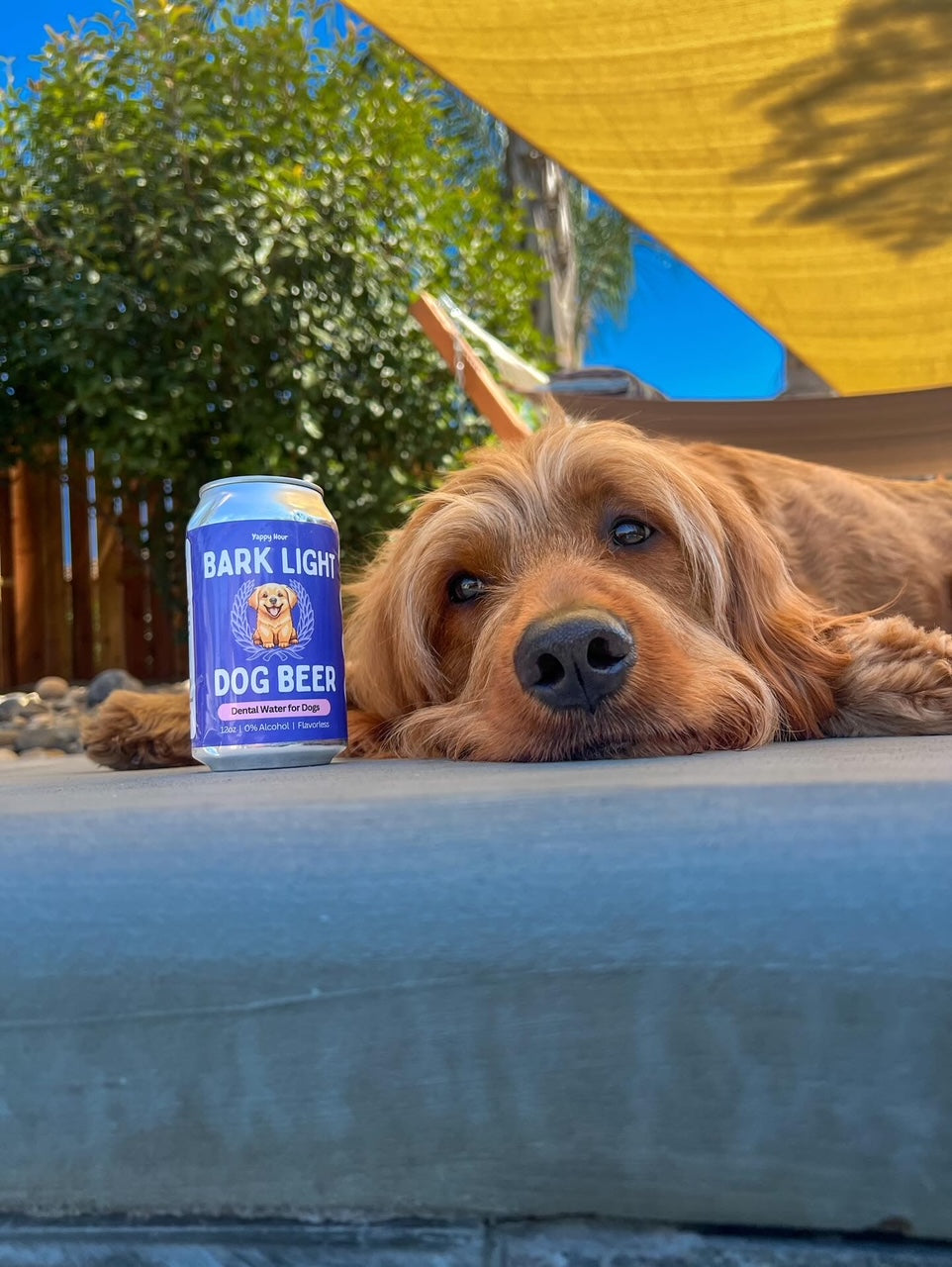 Yappy Hour | The Dog Booze Company | Dog Beer, Dog Wine, Dog Whiskey