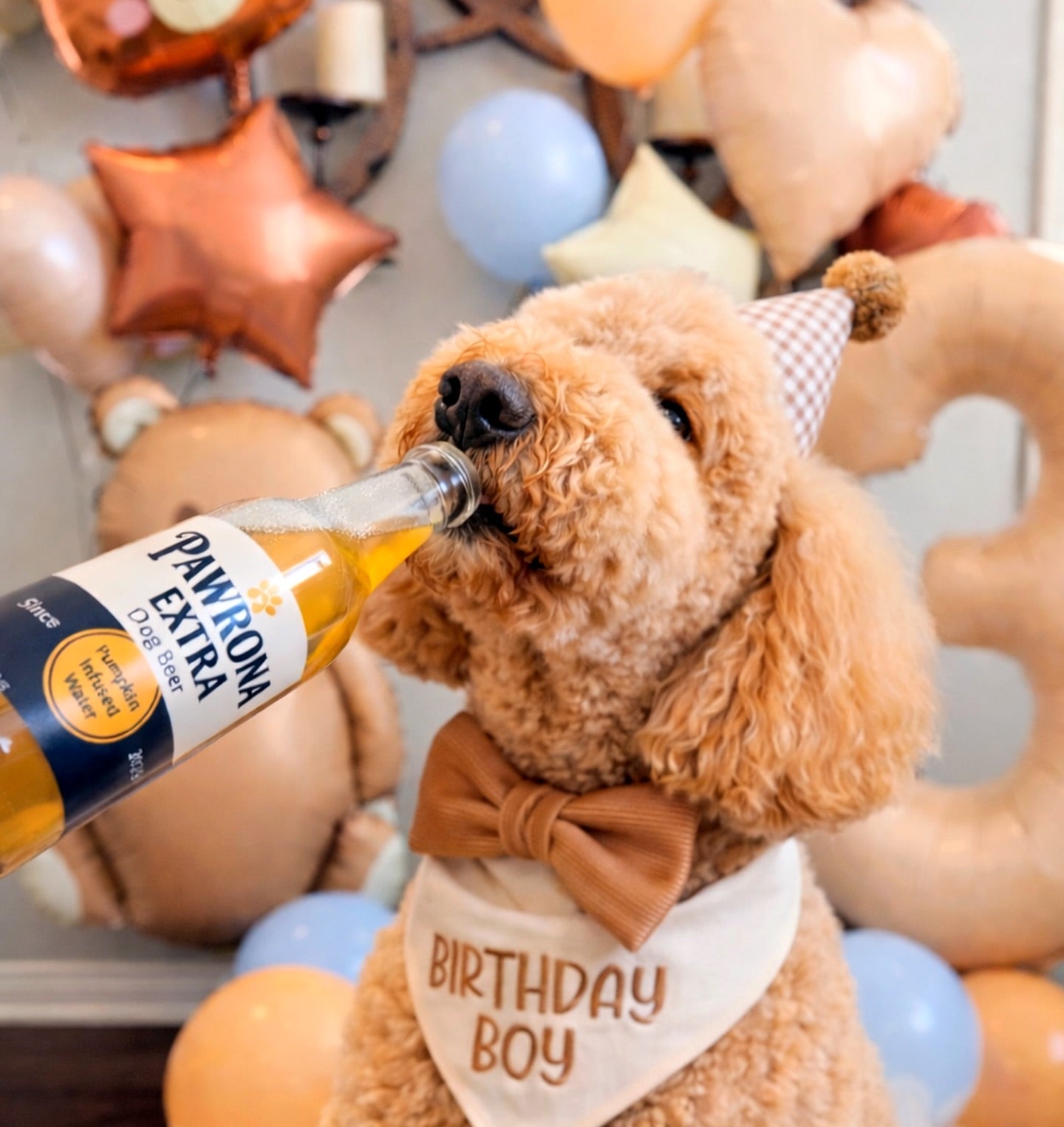 Yappy Hour | The Dog Booze Company | Dog Beer, Wine & Champagne